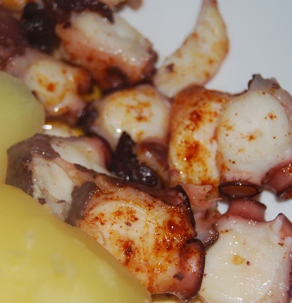 Receitas de Polvo